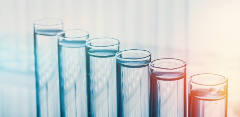 חוק סנל – במה מדובר?