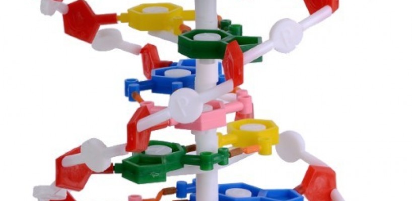 כלים חינוכיים לילדים | saklab